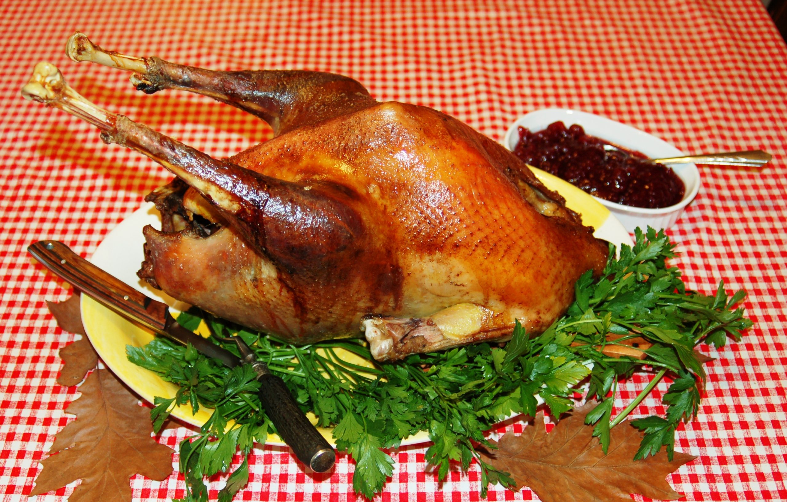 The RIGHT WAY To Prepare A Wild Turkey for Cooking - Target Communications